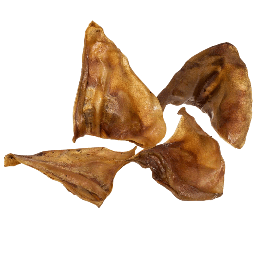 Natural Pig Ears – Sales Team Samples